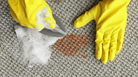 How To Clean A Carpet By Hand - Carpet Team